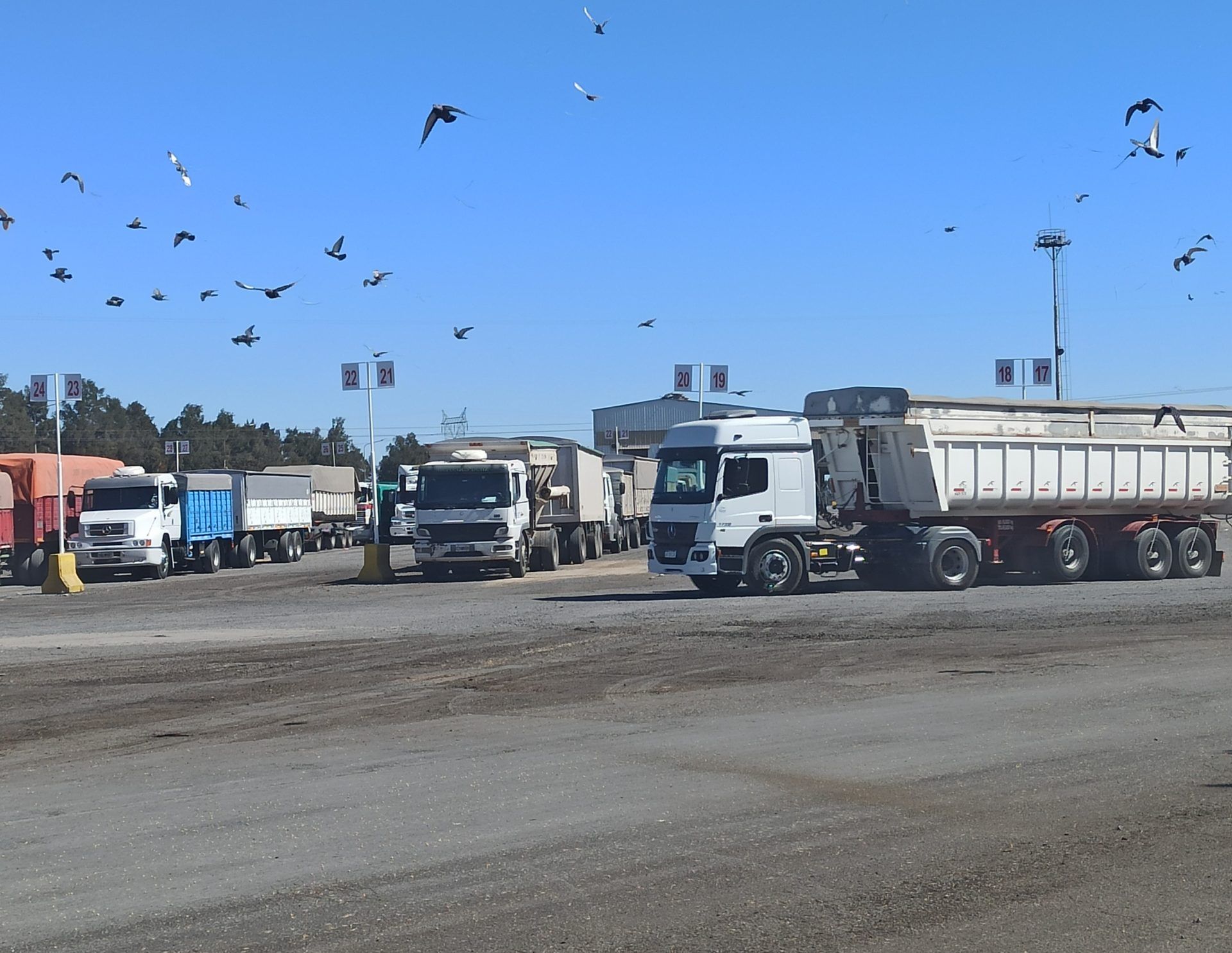 Circular+, la plataforma logística del agro que suma más servicios en ...