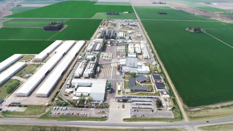Bayer y MSU Green Energy impulsan la transición energética en el ...